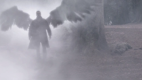 Angels | Supernatural Crossover Wiki | Fandom