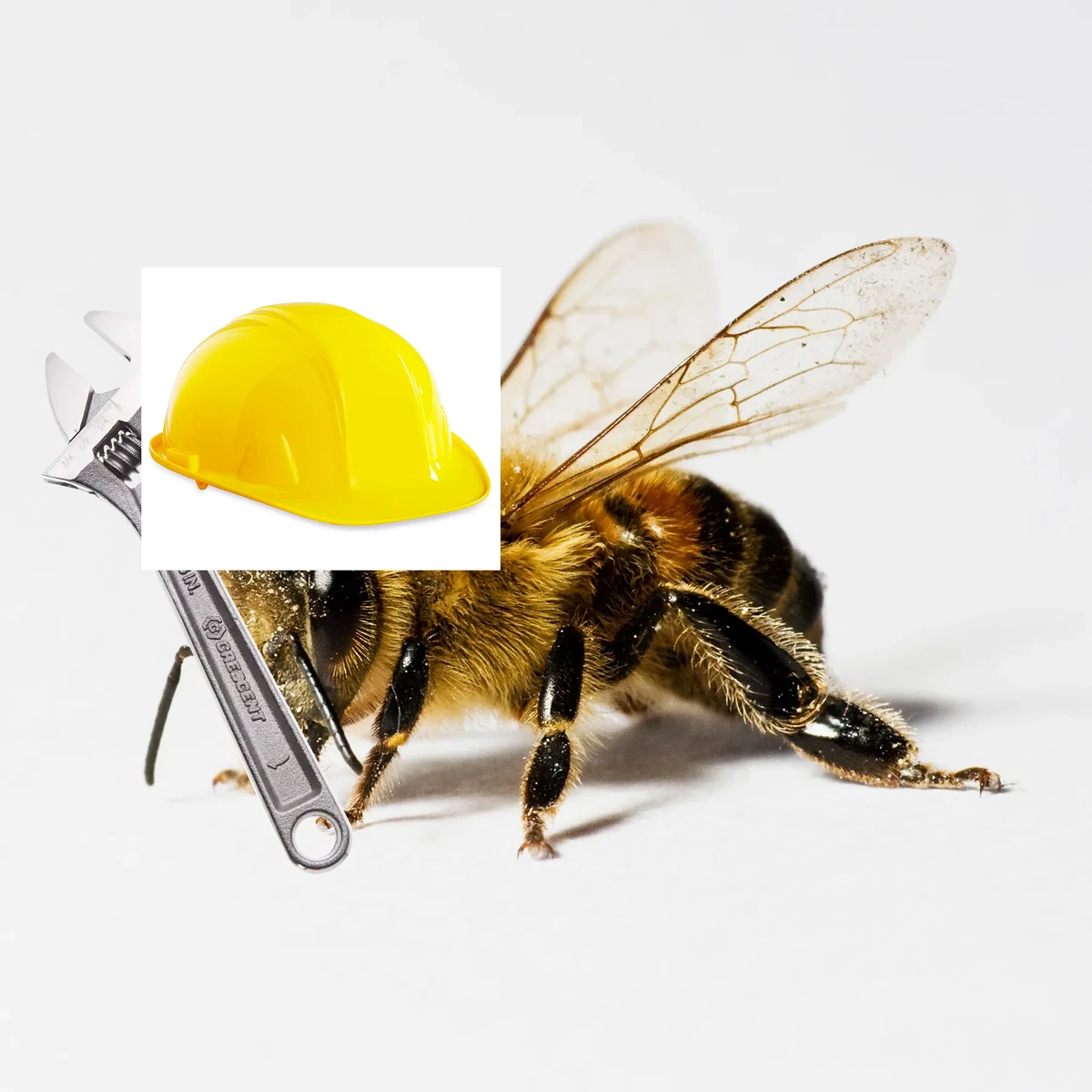 Mechanic Bee | Bee Swarm Simulator Fanon Wiki | Fandom