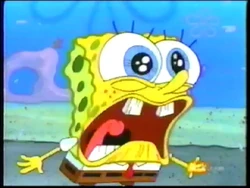 2001 | SpongeBob Encodes Wiki | Fandom
