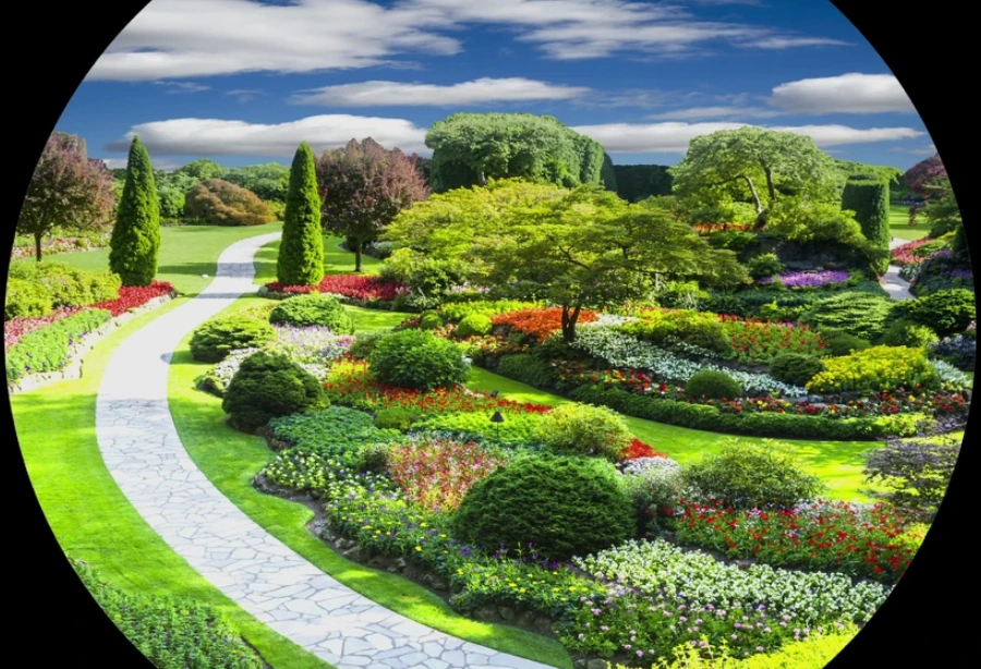 Shalmon's Garden | SpongeBob Locations Wiki | Fandom