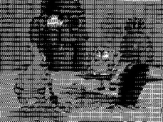 The Missing | Spongebob Lost Episodes Official Wiki | Fandom