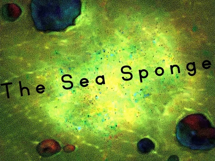 The Sea Sponge Spongebob Lost Episodes Official Wiki Fandom