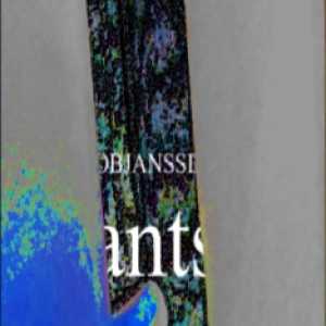 Ants | SpongeBob New Fanon Wiki | Fandom