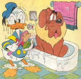 Donald the Dump | SpongeBob New Fanon Wiki | Fandom