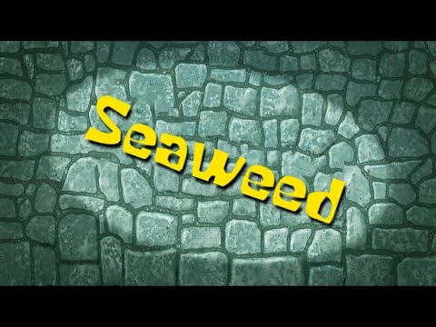 Seaweed | SpongeBob New Fanon Wiki | Fandom