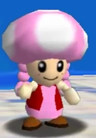 Toadette | SpongeBob New Fanon Wiki | Fandom