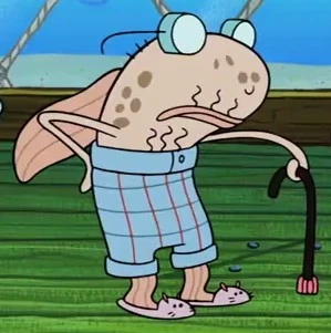 Szary rekin senior | SpongeBob Wiki | Fandom