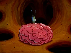 Mózg SpongeBoba | SpongeBob Wiki | Fandom