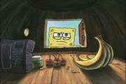 Coś tu cuchnie (galeria) | SpongeBob Wiki | Fandom
