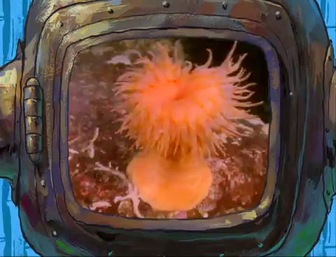 Anemon | SpongeBob Wiki | Fandom