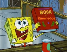 Overview | SpongeBob Squarepants - Book of Knowledge Wiki | Fandom