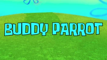 Buddy Parrot | SpongeBob Fanon (My Version) Wiki | Fandom