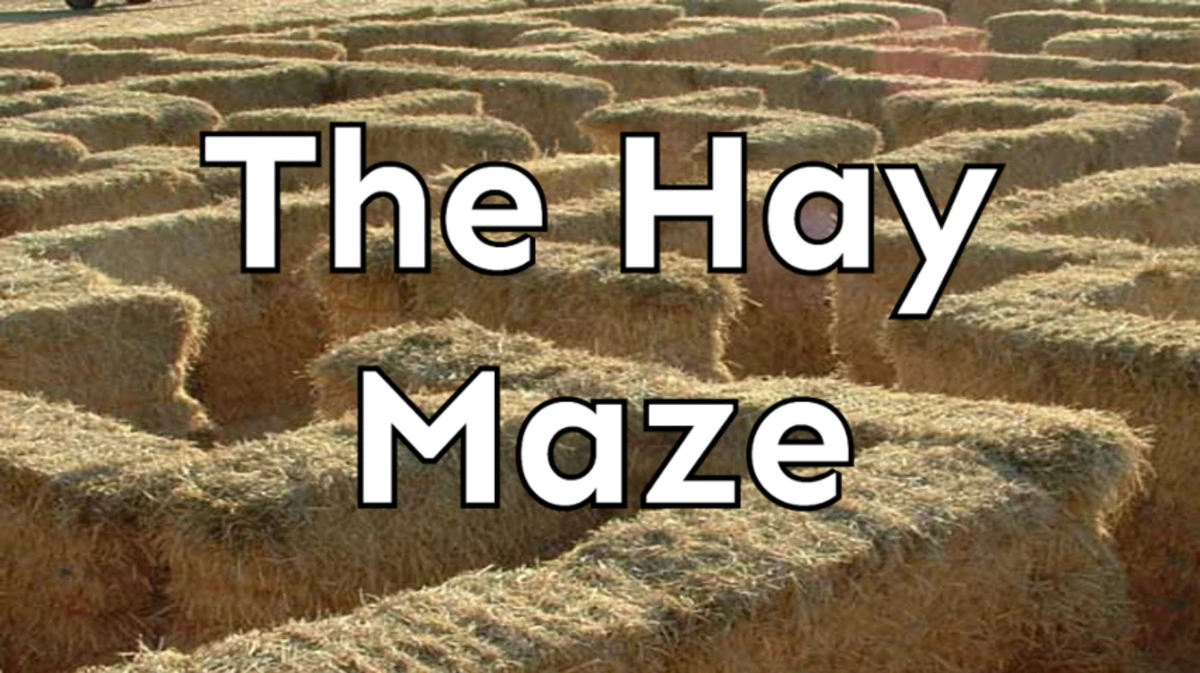 The Hay Maze | SpongeBob Fanon (My Version) Wiki | Fandom
