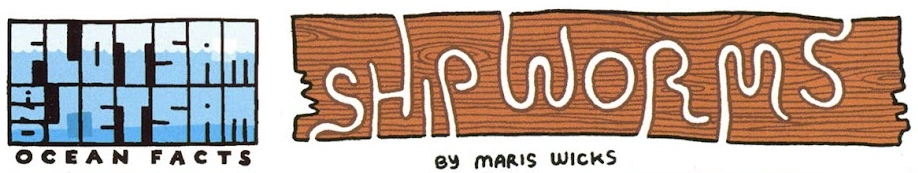 Flotsam and Jetsam Ocean Facts: Shipworms | Encyclopedia SpongeBobia ...