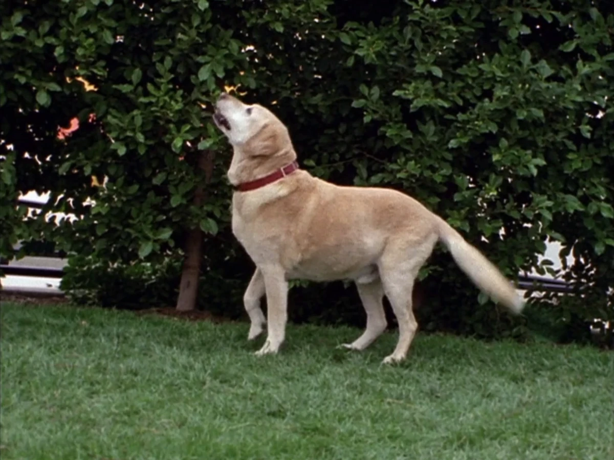 Plankton's lab | Encyclopedia SpongeBobia | Fandom