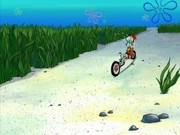 Squidward's recumbent bicycle/gallery | Encyclopedia SpongeBobia | Fandom