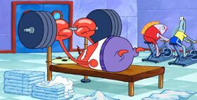 Season 9 | Encyclopedia SpongeBobia | Fandom