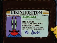 List of driver's licenses | Encyclopedia SpongeBobia | Fandom