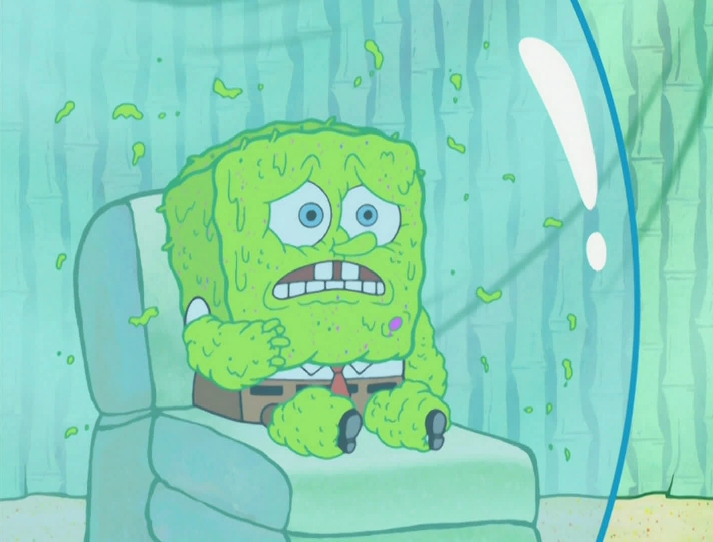 SpongeBob SquarePants" Rise And Shine/Waiting/Fungus Among Us (TV ...