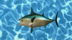 Spongebob Fish Intro