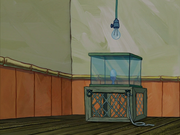 Roger (chick)/gallery | Encyclopedia SpongeBobia | Fandom