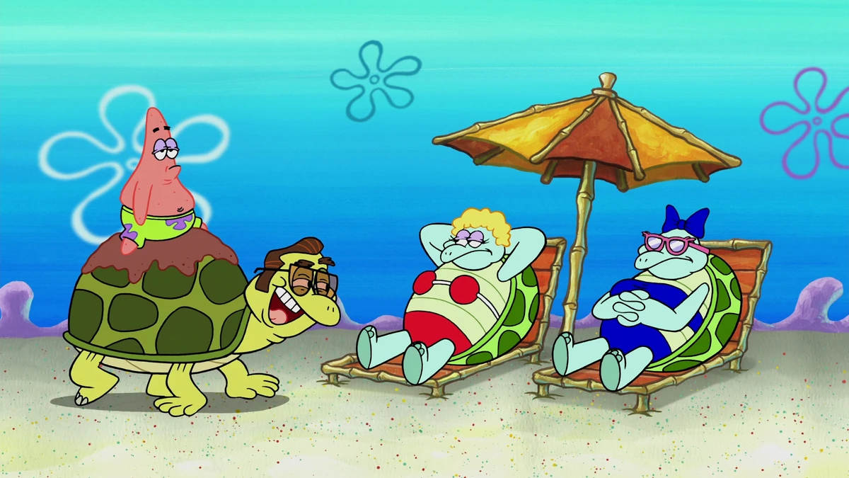 Lady turtle 2/gallery | Encyclopedia SpongeBobia | Fandom