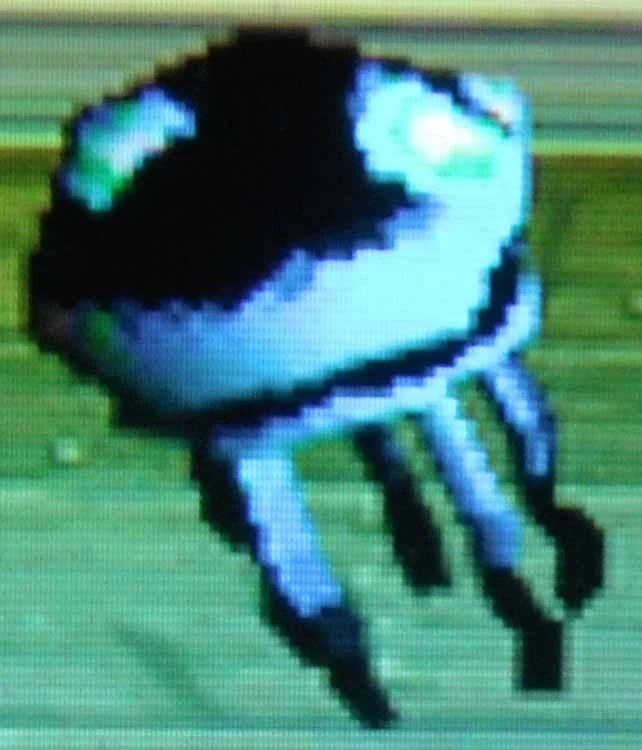 Black jellyfish | Encyclopedia SpongeBobia | Fandom