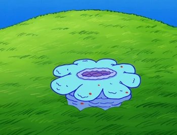 Singing coral | Encyclopedia SpongeBobia | Fandom