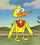 Birds | Encyclopedia SpongeBobia | Fandom