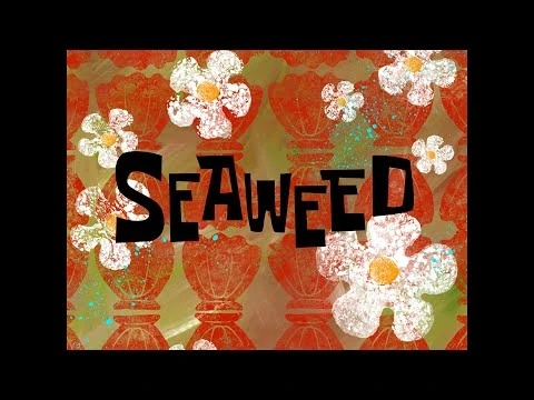 Seaweed | Encyclopedia SpongeBobia | Fandom