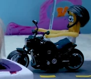 SpongeBob IRL | Encyclopedia SpongeBobia | Fandom