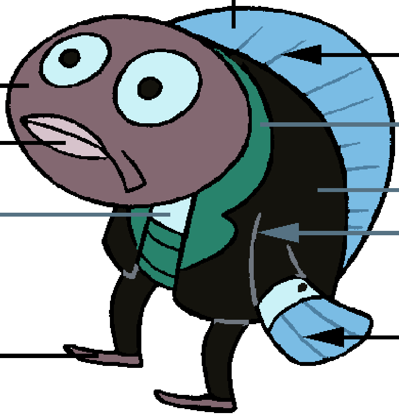 Incidental 10 | Encyclopedia SpongeBobia | Fandom