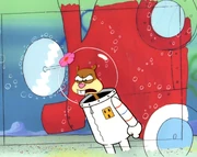 Texas | Encyclopedia SpongeBobia | Fandom