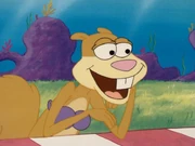 Sandy Cheeks' treedome/gallery | Encyclopedia SpongeBobia | Fandom