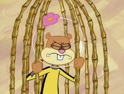 Sandy Cheeks Karate Island