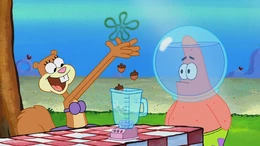 Sandy Cheeks | Encyclopedia SpongeBobia | Fandom