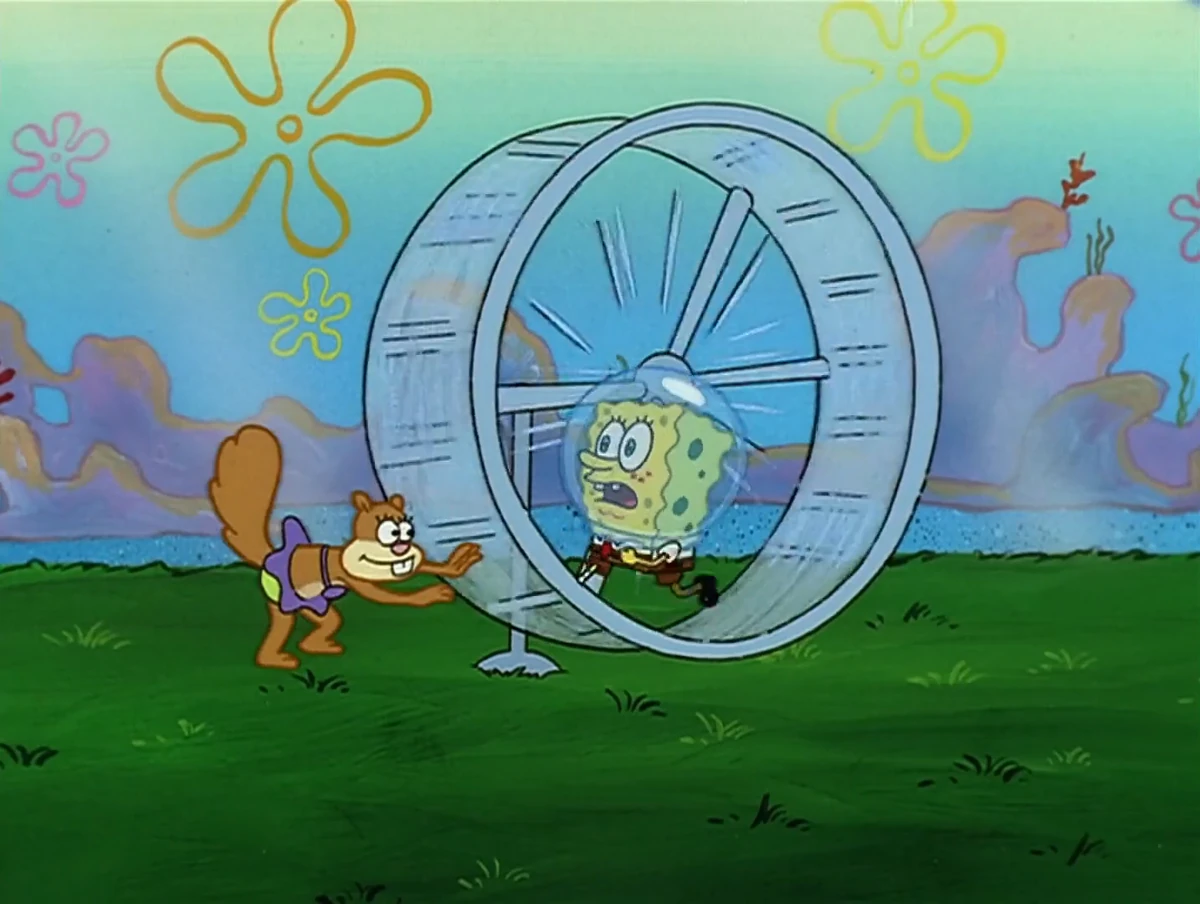 Acorn/gallery | Encyclopedia SpongeBobia | Fandom