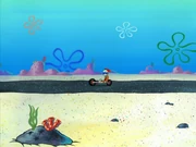 Squidward's recumbent bicycle/gallery | Encyclopedia SpongeBobia | Fandom