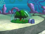 Sandy Cheeks' treedome/gallery | Encyclopedia SpongeBobia | Fandom