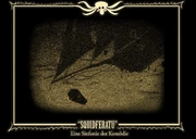 Season 13 | Encyclopedia SpongeBobia | Fandom