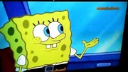 SpongyaBob Kockanadrág | Encyclopedia SpongeBobia | Fandom