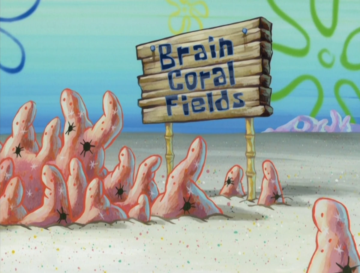 Brain Coral Fields | Encyclopedia SpongeBobia | Fandom