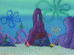 Flats The Flounder