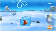 July 2024 premiere week | Encyclopedia SpongeBobia | Fandom