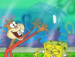 Spongebob Squirrel Jokes Water