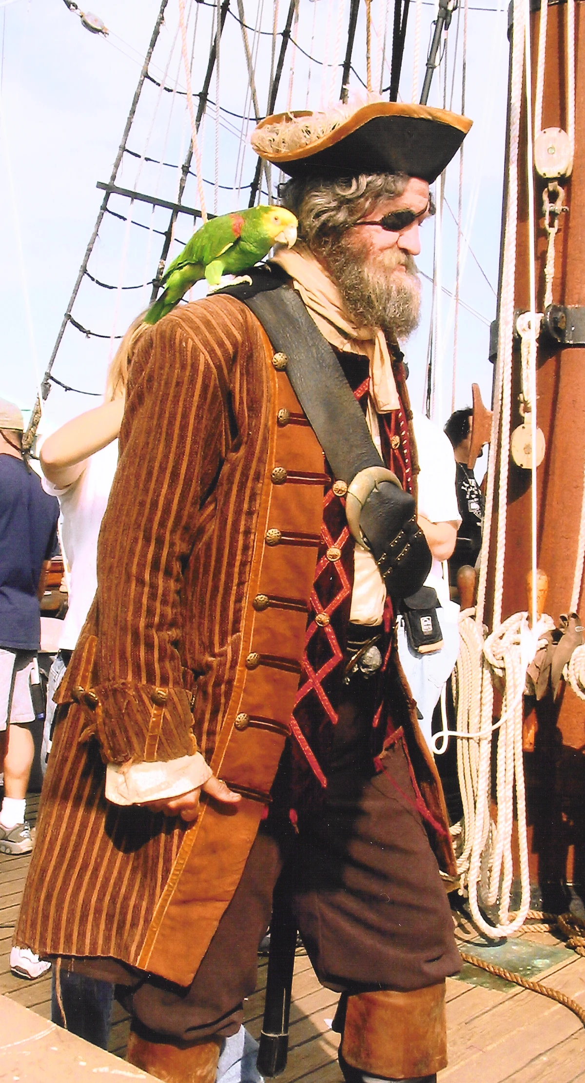 Captain Bart the Pirate | Encyclopedia SpongeBobia | Fandom