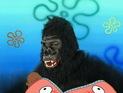 Spongebob Gorilla