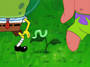 Wormy (character)/gallery | Encyclopedia SpongeBobia | Fandom