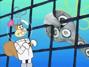 Abominable snow mollusk/gallery | Encyclopedia SpongeBobia | Fandom
