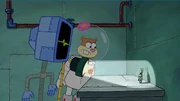 Sandy-Plankton relationship | Encyclopedia SpongeBobia | Fandom